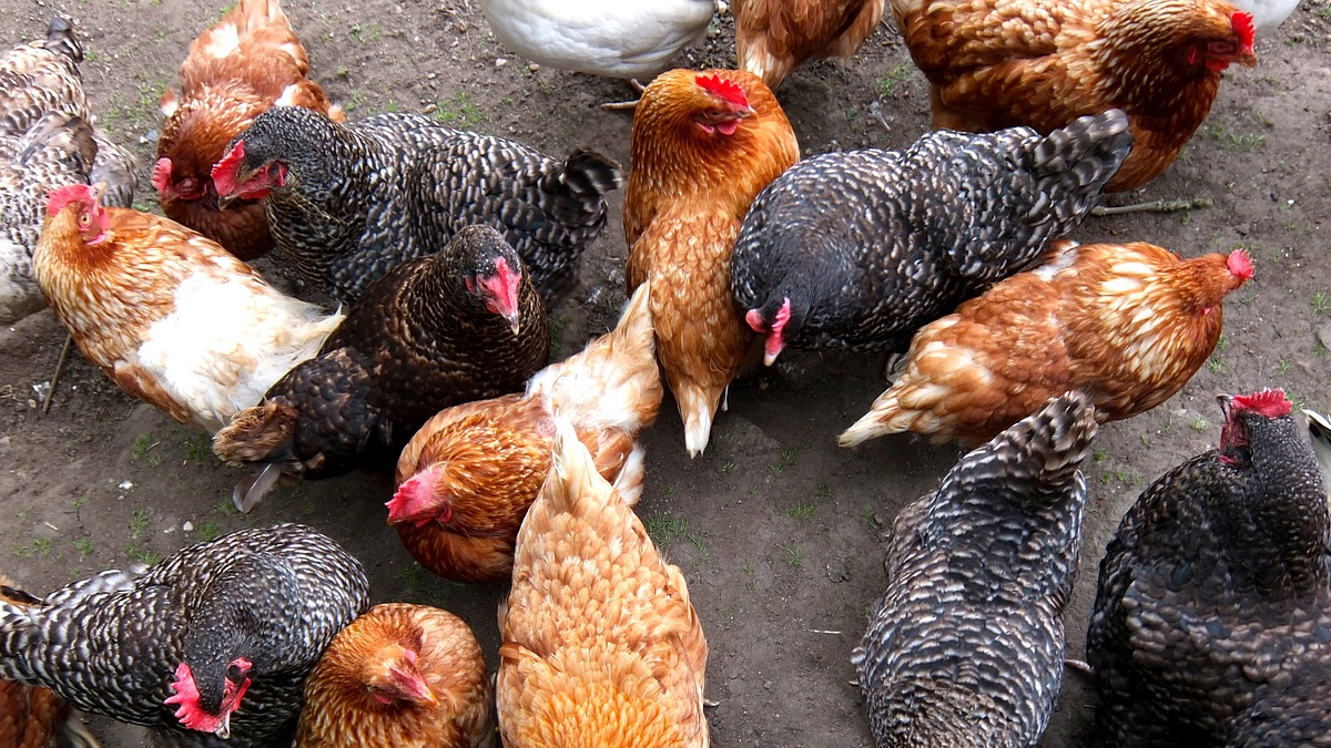 CONSENT methode - Wat frustreert jou het meest aan de CONSENT-methode?