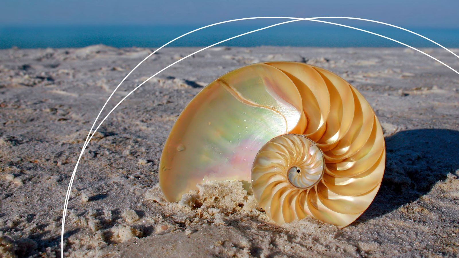 CONSENT methode - Home